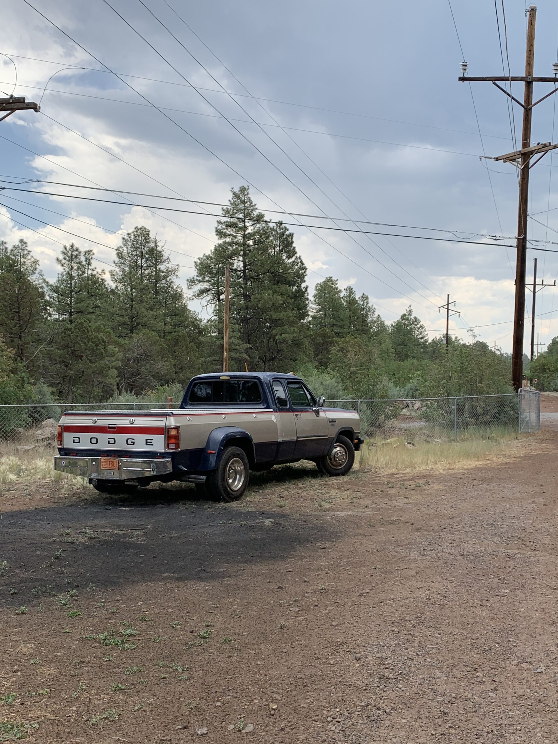 93 Cummins! – Famous Whip Sales